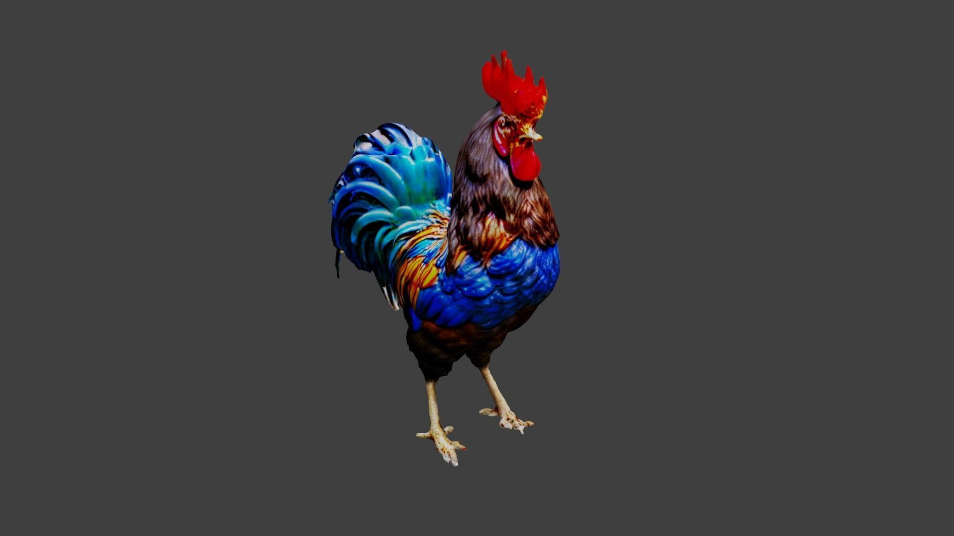 3D model Cockerel Chicken VR / AR / low-poly | CGTrader