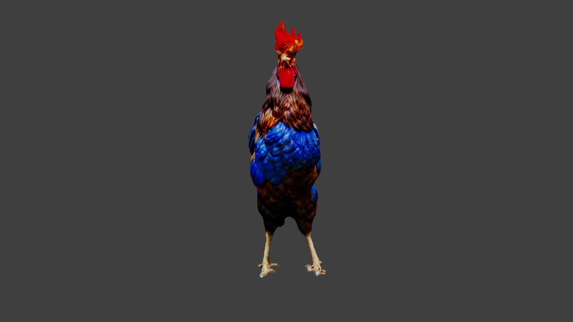 3D model Cockerel Chicken VR / AR / low-poly | CGTrader