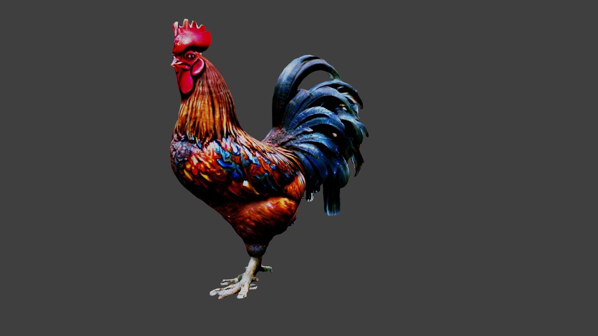 3D model Rooster Animal VR / AR / low-poly | CGTrader