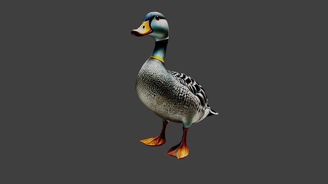 3D model Duck Animal VR / AR / low-poly | CGTrader