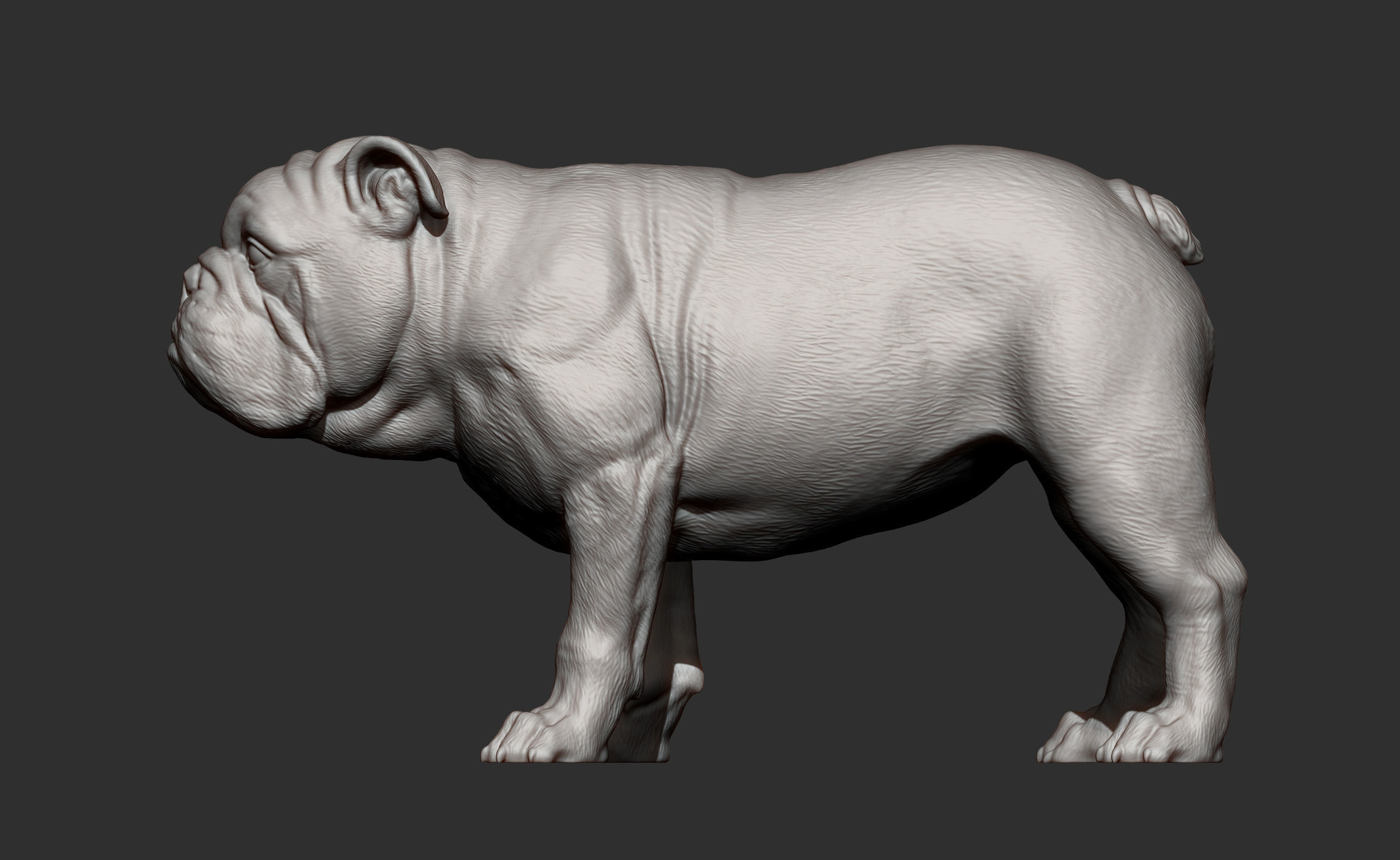 English bulldog 3D model 3D printable | CGTrader
