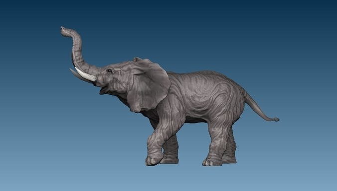 Elephant 3D model 3D printable | CGTrader