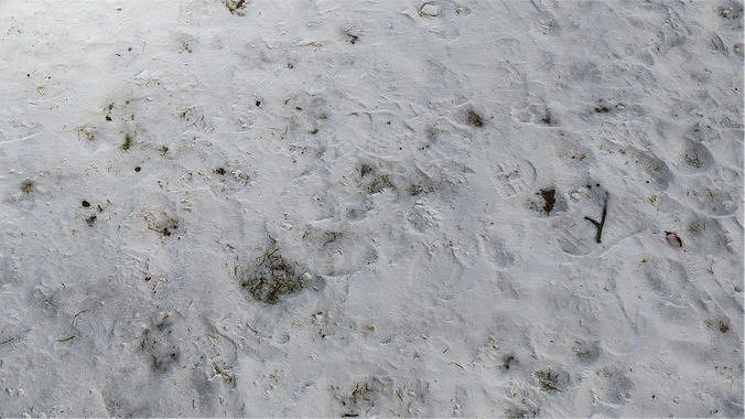 Texture Floor PBR Texture Pack VR / AR / low-poly | CGTrader