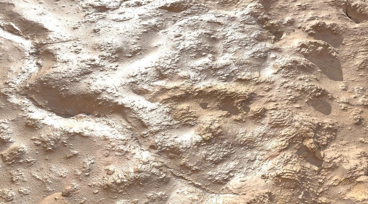 Texture Floor PBR Texture Pack VR / AR / low-poly | CGTrader