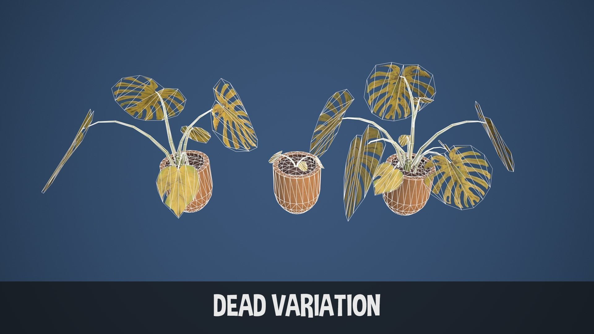 3D model Stylized Monstera Swiss Cheese Plant VR / AR / low-poly | CGTrader