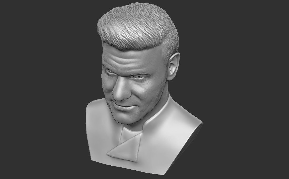 Gordon Ramsay bust for 3D printing 3D model 3D printable | CGTrader