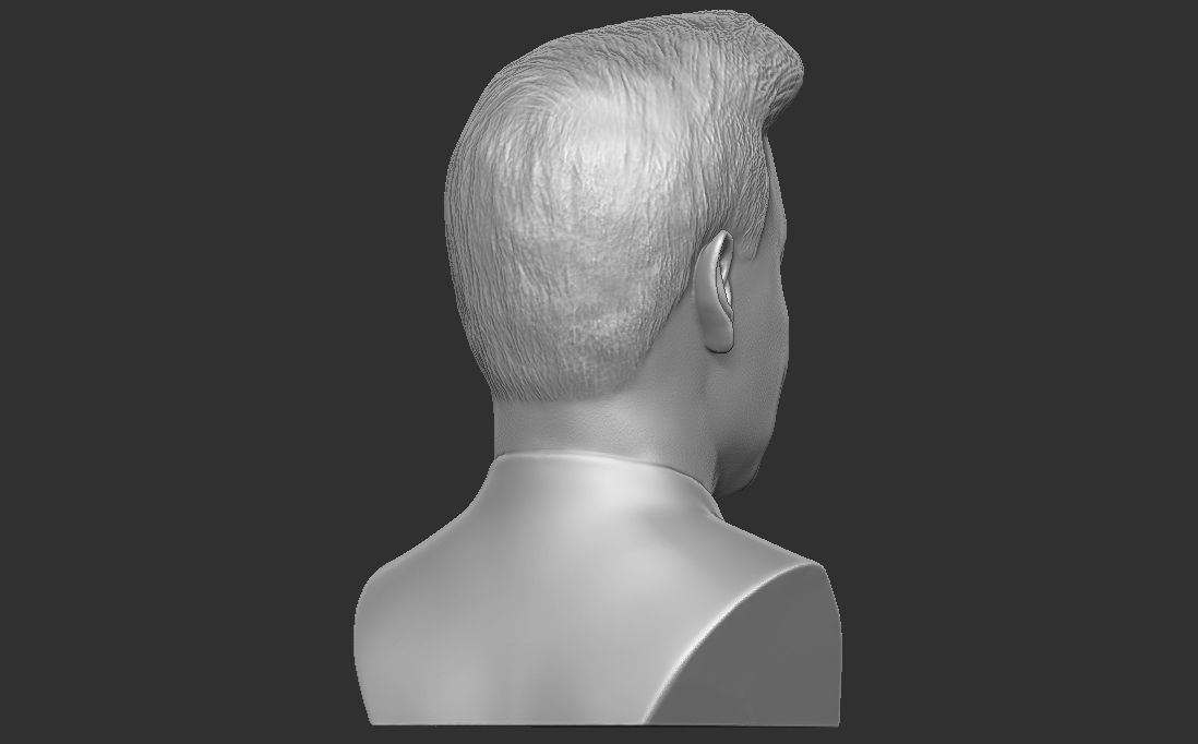 Gordon Ramsay bust for 3D printing 3D model 3D printable | CGTrader