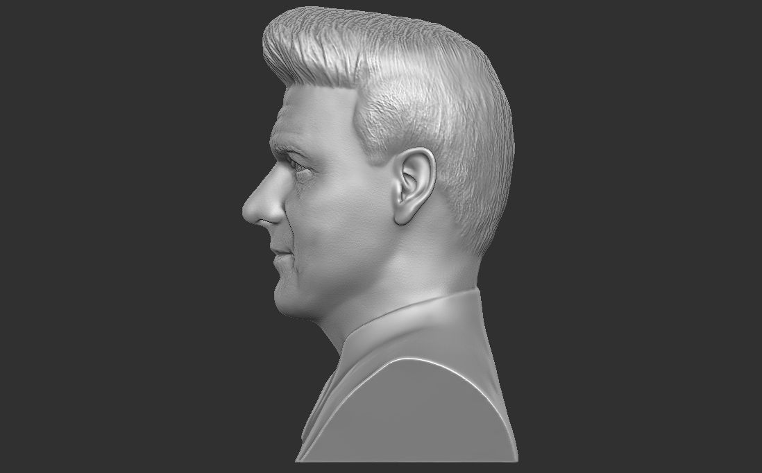 Gordon Ramsay bust for 3D printing 3D model 3D printable | CGTrader