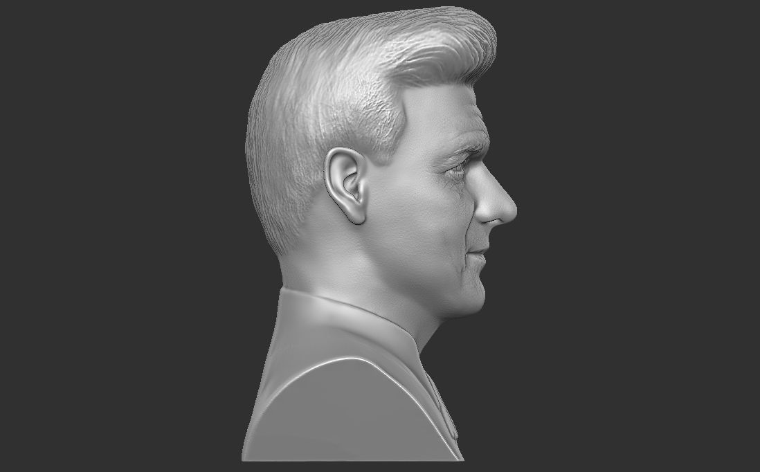 Gordon Ramsay bust for 3D printing 3D model 3D printable | CGTrader
