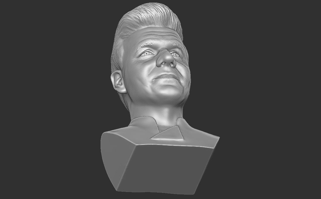 Gordon Ramsay bust for 3D printing 3D model 3D printable | CGTrader