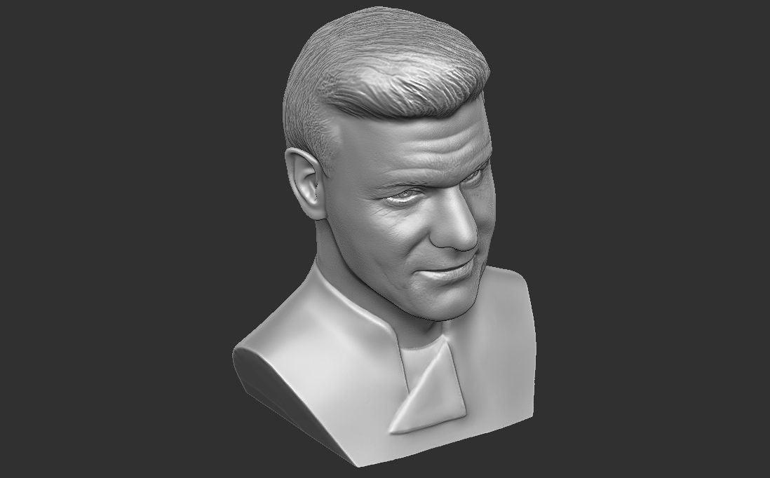 Gordon Ramsay bust for 3D printing 3D model 3D printable | CGTrader