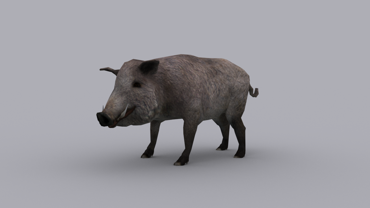 3D model BOAR GAME READY ANIMATED MODEL VR / AR / low-poly MAX ...