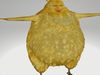 3D model Final Fantasy - Ff7R - Fat Chocobo 3D Model VR / AR / low-poly ...