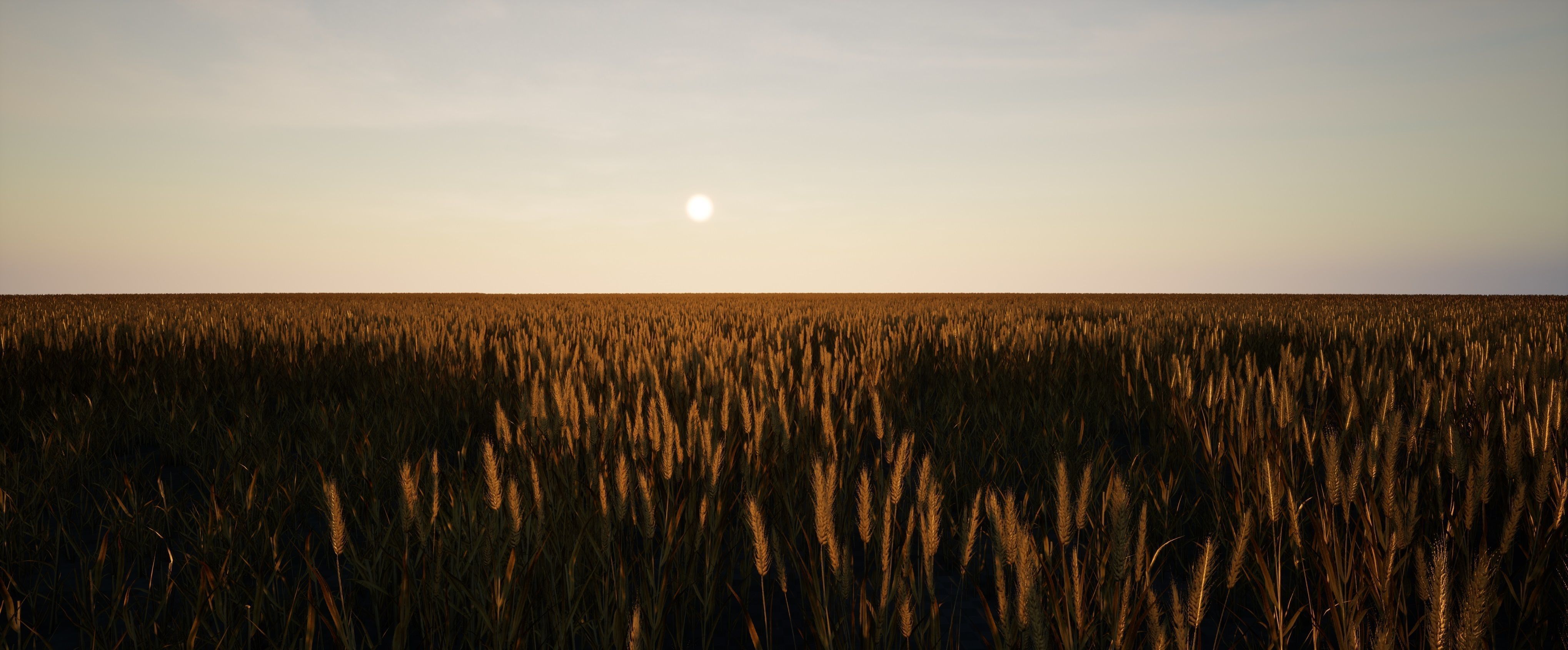 3D model Realistic Optimized Wheat Pack VR / AR / low-poly | CGTrader