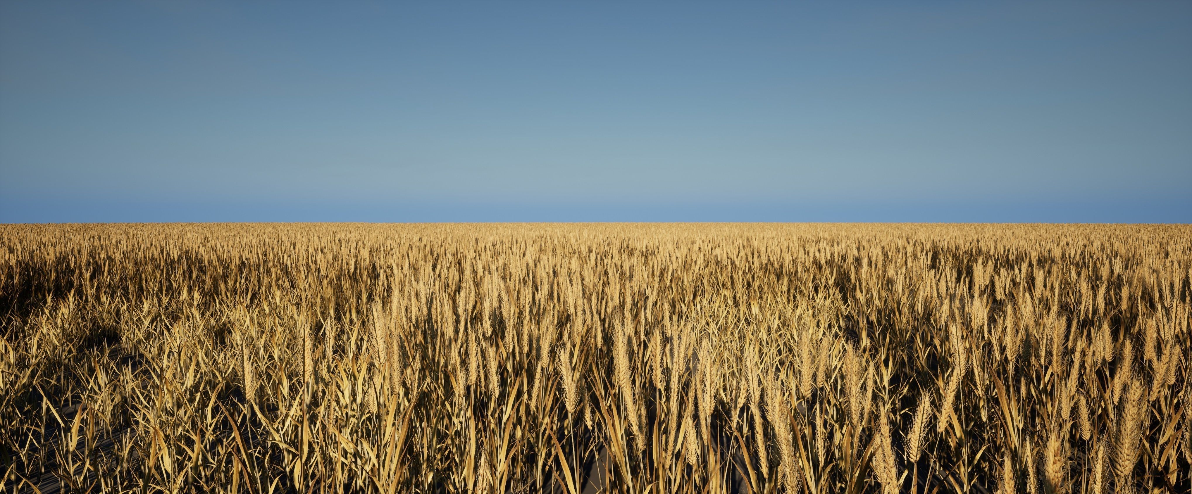 3D model Realistic Optimized Wheat Pack VR / AR / low-poly | CGTrader