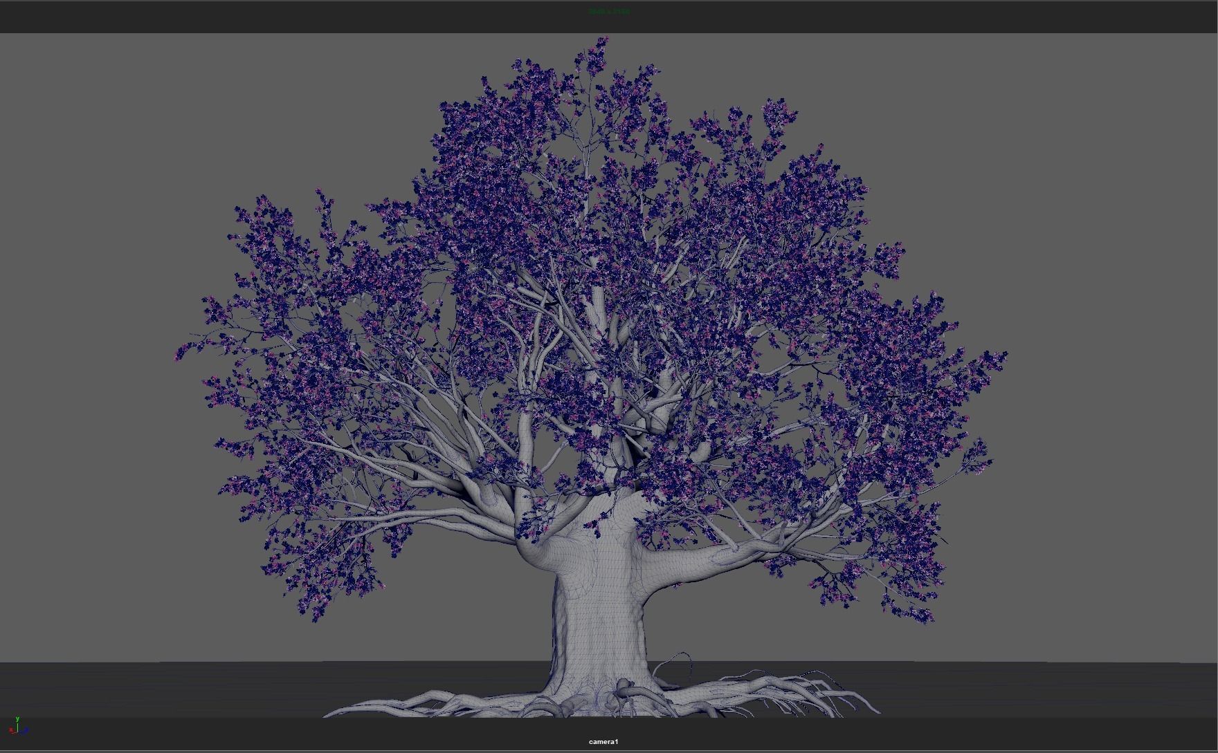 Ancient cherry blossom tree 3D model | CGTrader
