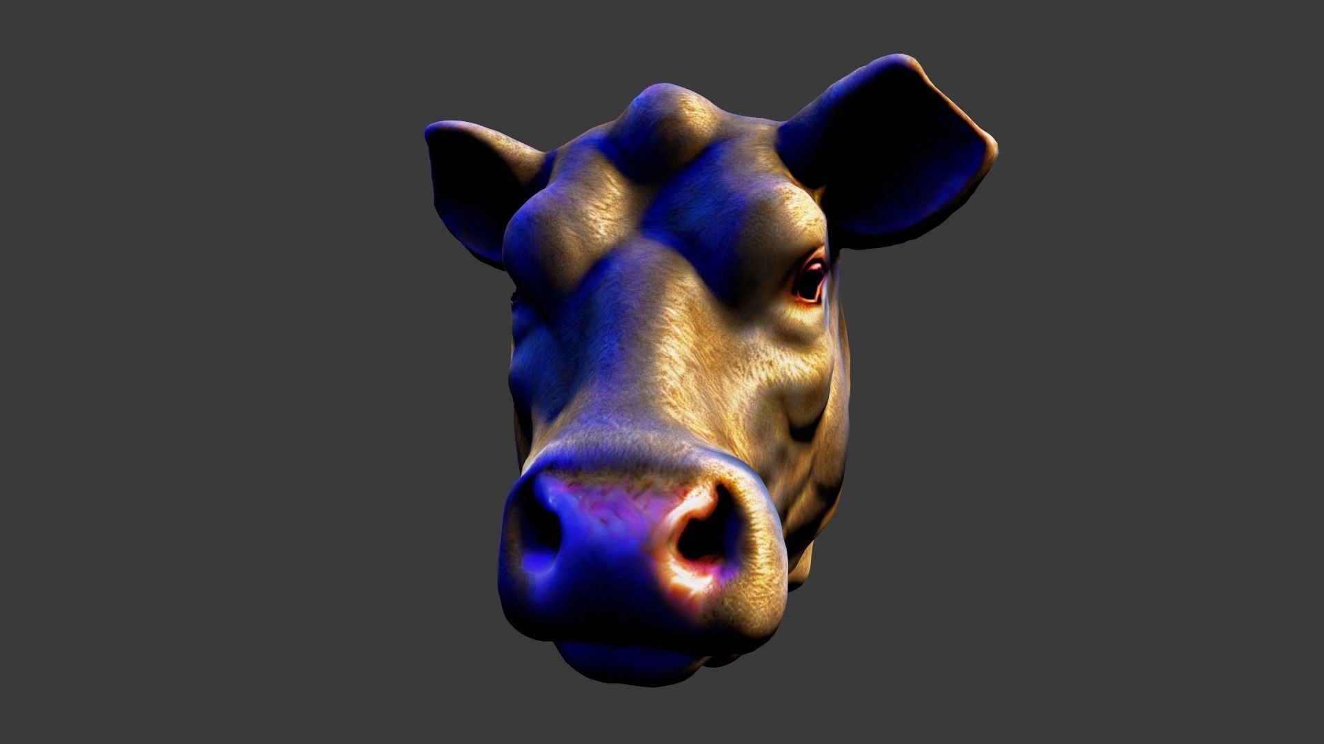 3D model Cow Animal Head VR / AR / low-poly | CGTrader