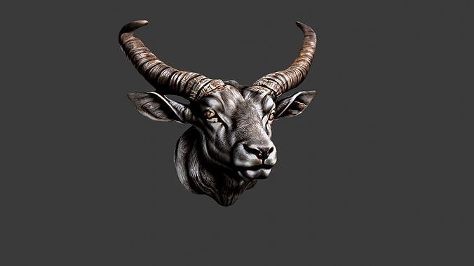 3D model Bull Animal Head VR / AR / low-poly | CGTrader