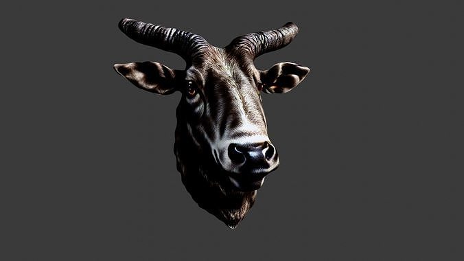 3D model Bull Animal Head VR / AR / low-poly | CGTrader