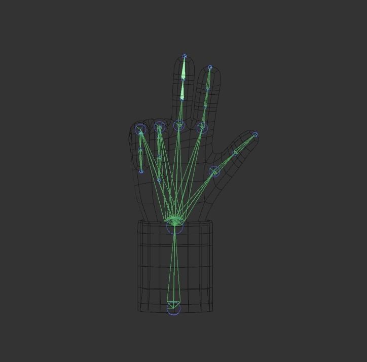 Hands Collection in 12 Different Poses 3D model rigged | CGTrader