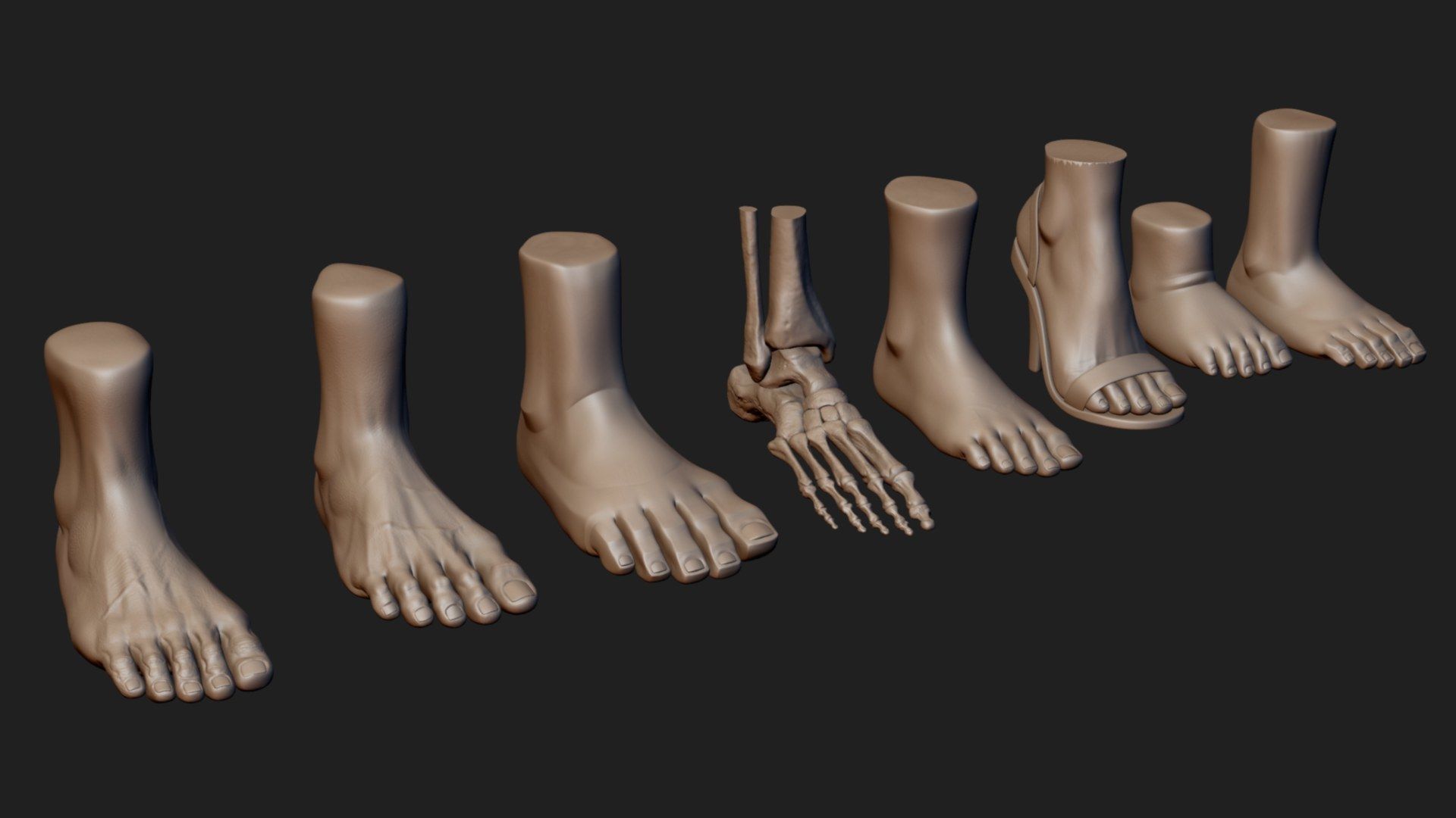 Foot sculpts pack 3D model | CGTrader