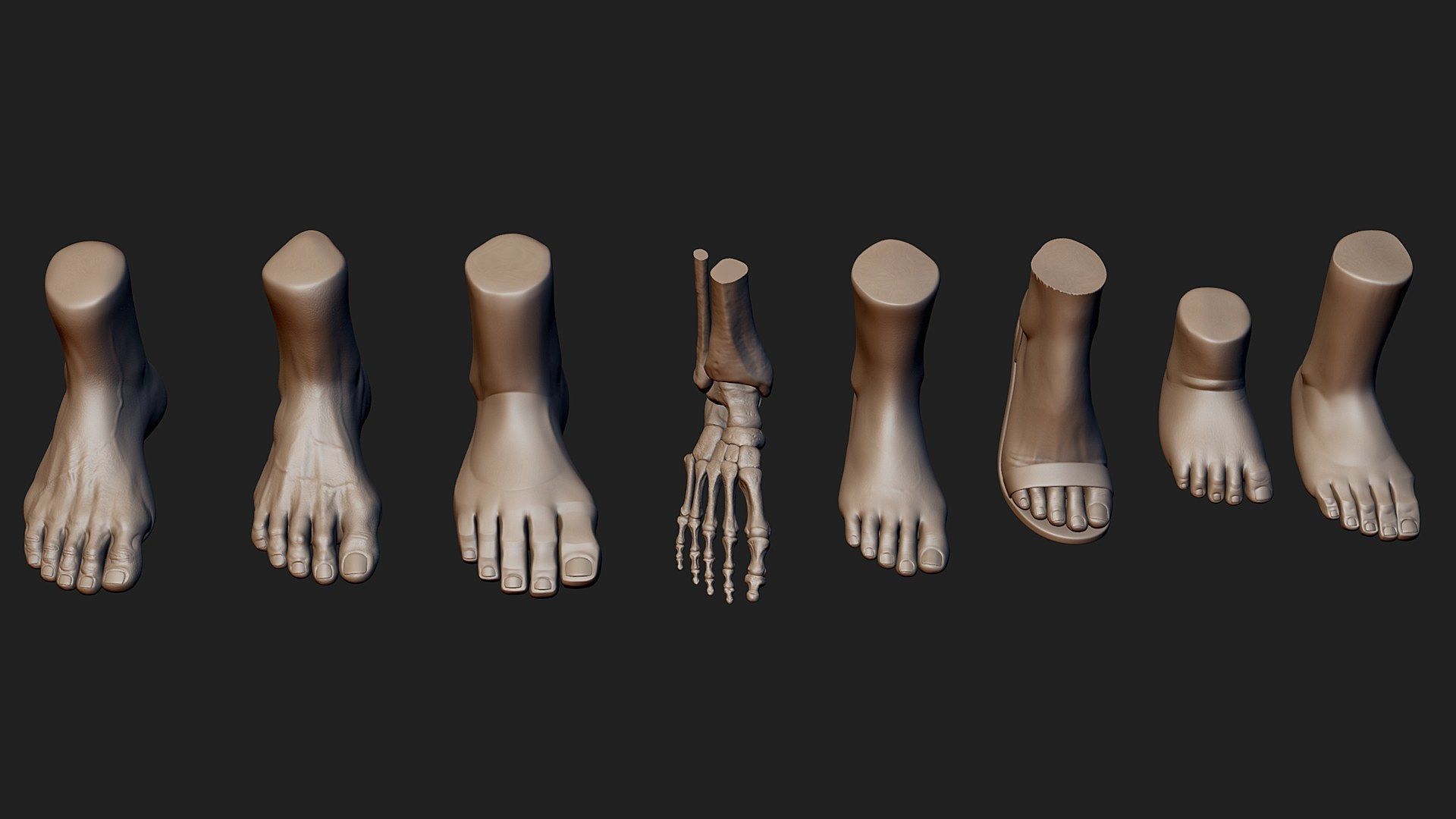 Foot sculpts pack 3D model | CGTrader