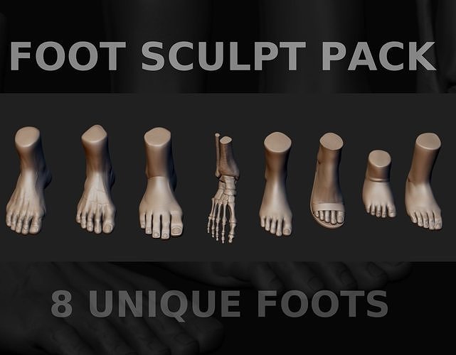 Foot sculpts pack 3D model | CGTrader