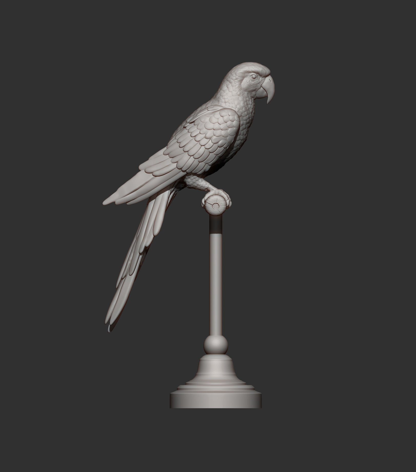 Ara parrot 3D model 3D printable | CGTrader