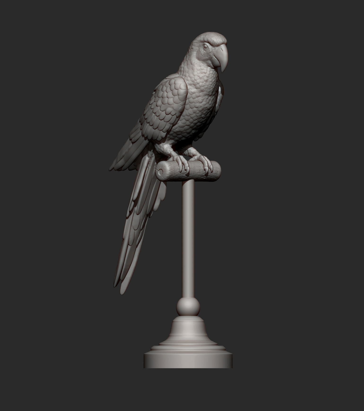 Ara parrot 3D model 3D printable | CGTrader