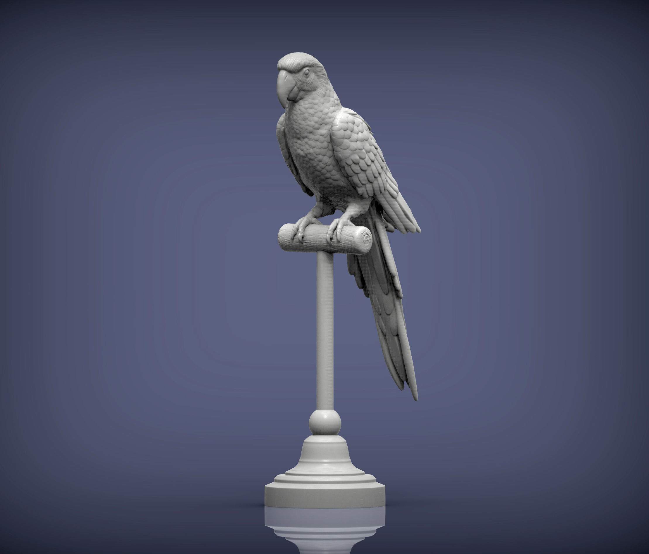 Ara parrot 3D model 3D printable | CGTrader