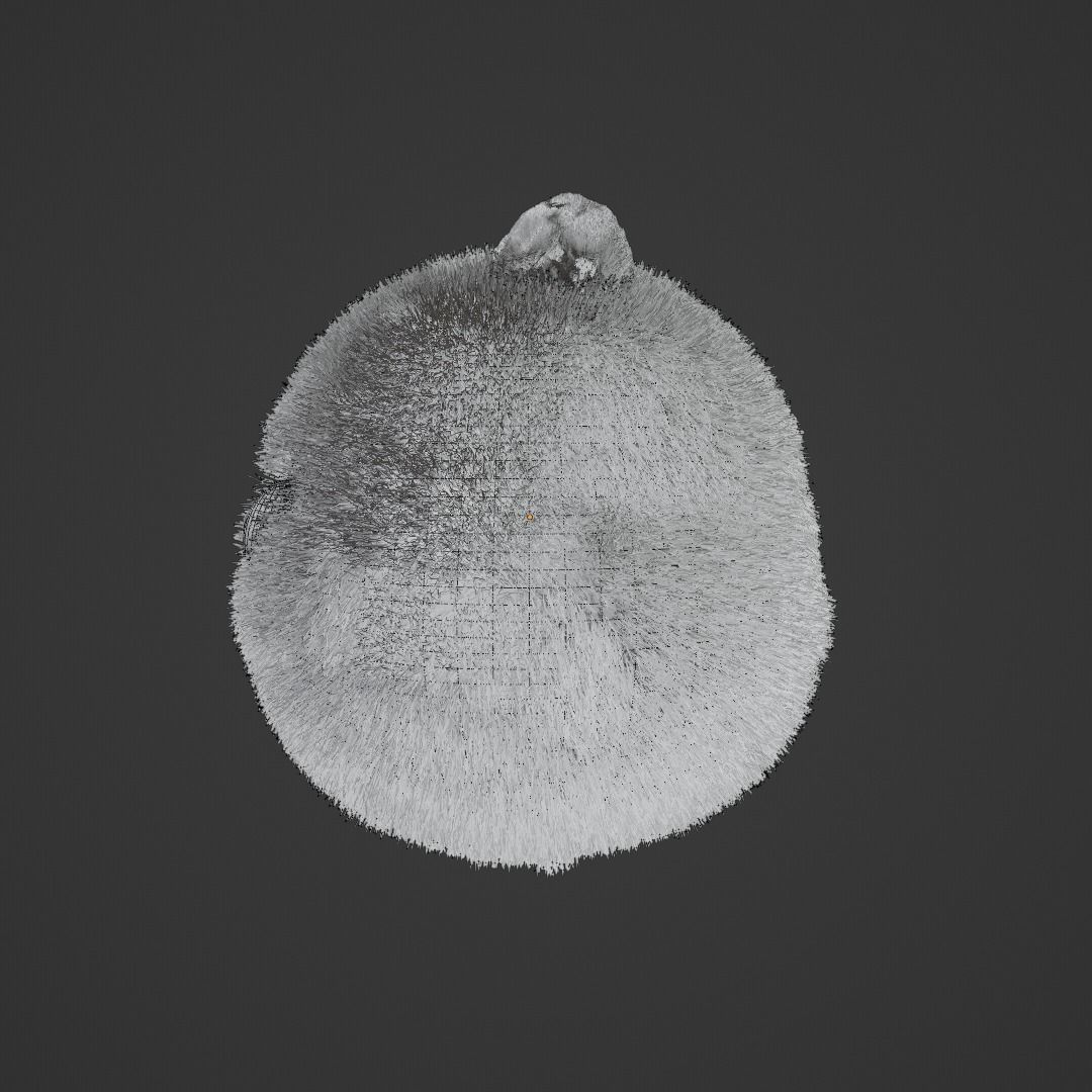 3D model Pomeranian Boo Cute Plush Toy 3D Low-Poly Model VR / AR / low ...