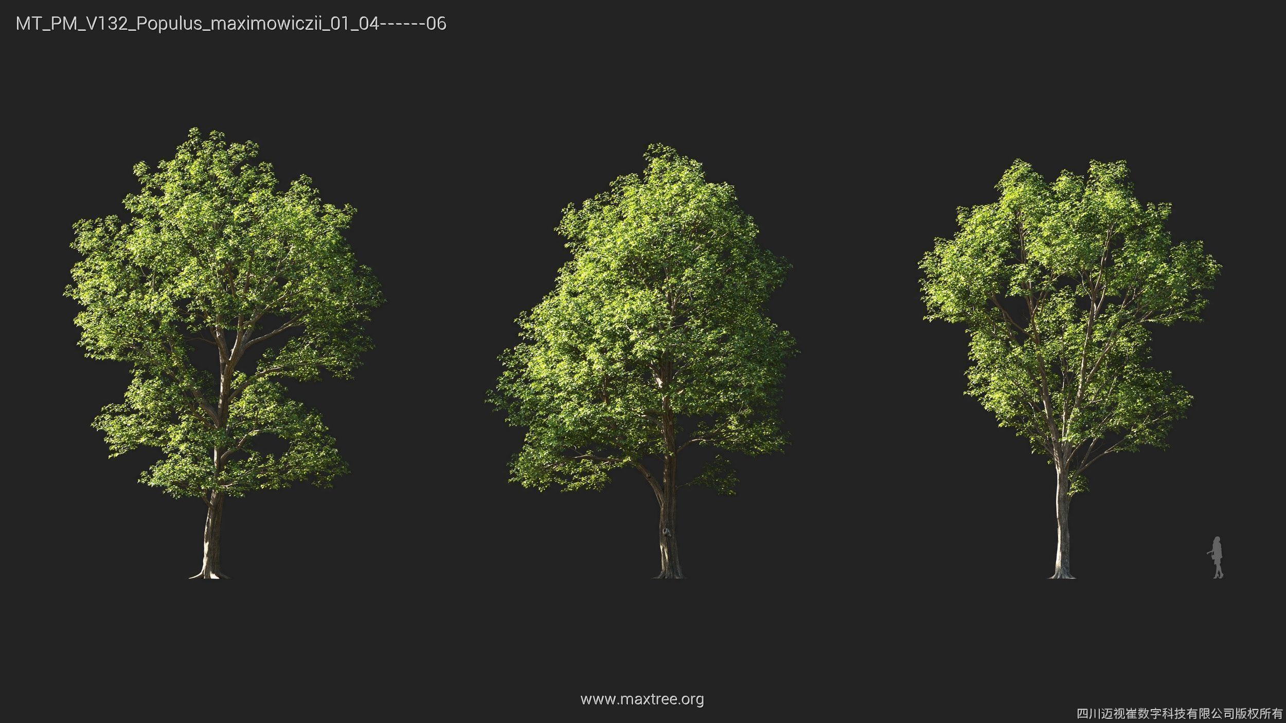 Maxtree Plant Models Vol 132 - Mesh 3D model | CGTrader