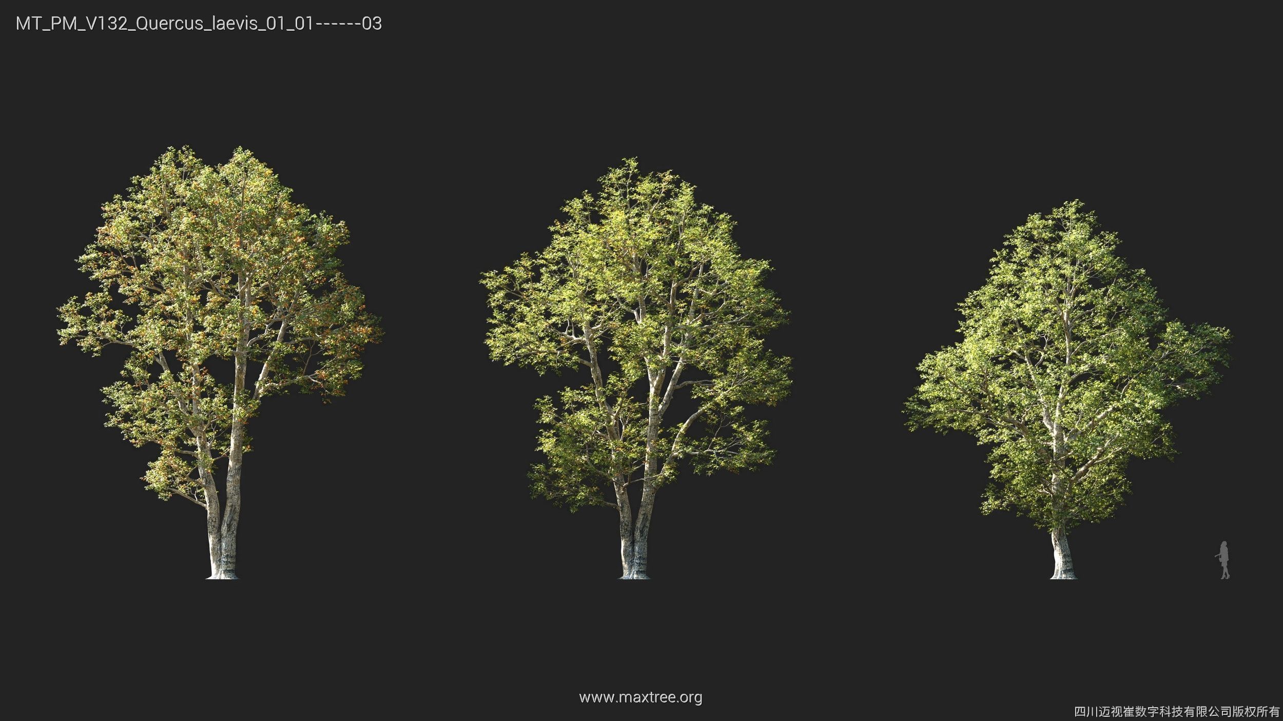 Maxtree Plant Models Vol 132 - Mesh 3D model | CGTrader