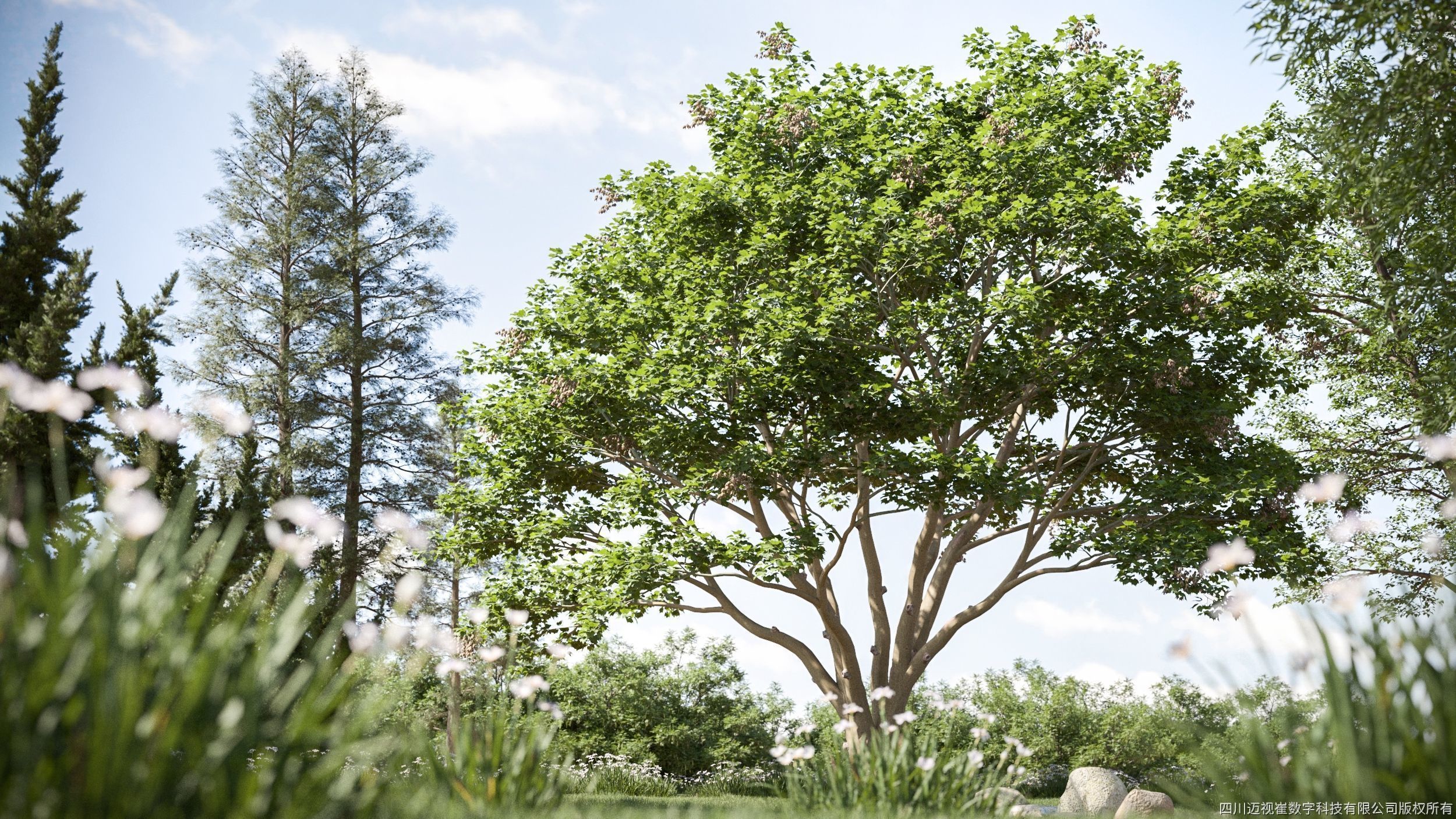 Maxtree Plant Models Vol 132 - Mesh 3D model | CGTrader