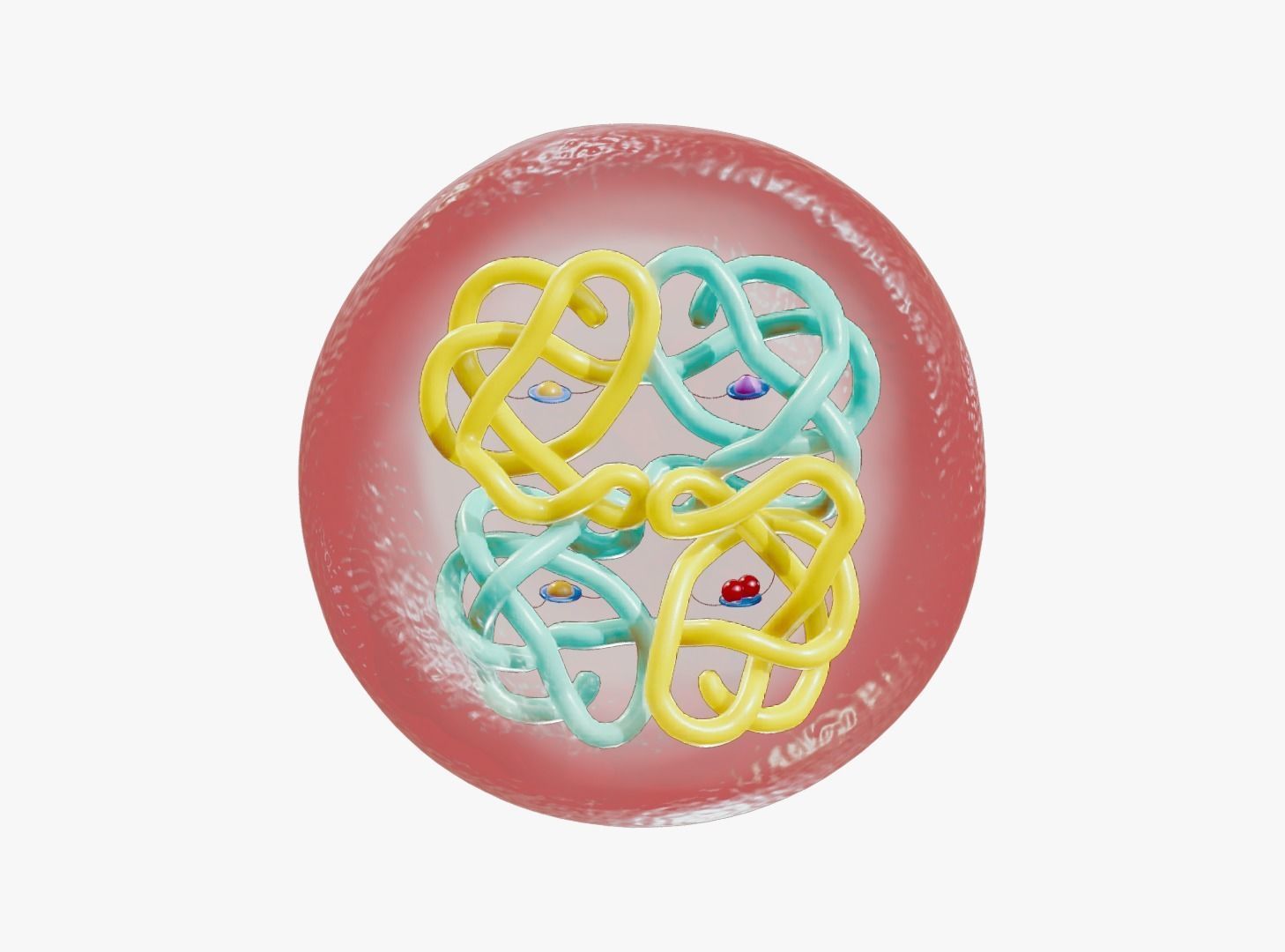 The Structure of Hemoglobin 3D model | CGTrader