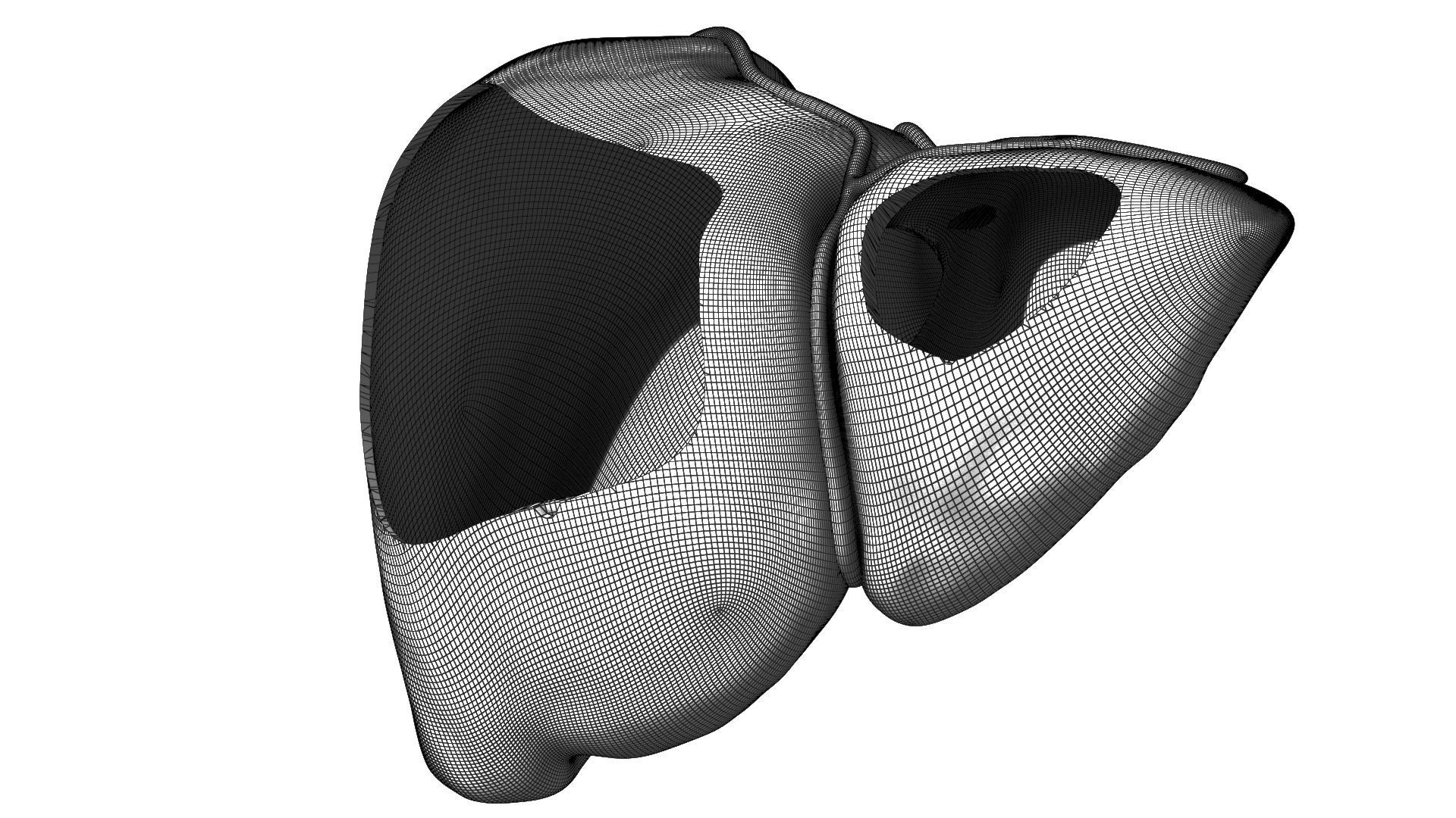 Printable Human Liver Anatomy 3 in1 3D model 3D printable | CGTrader