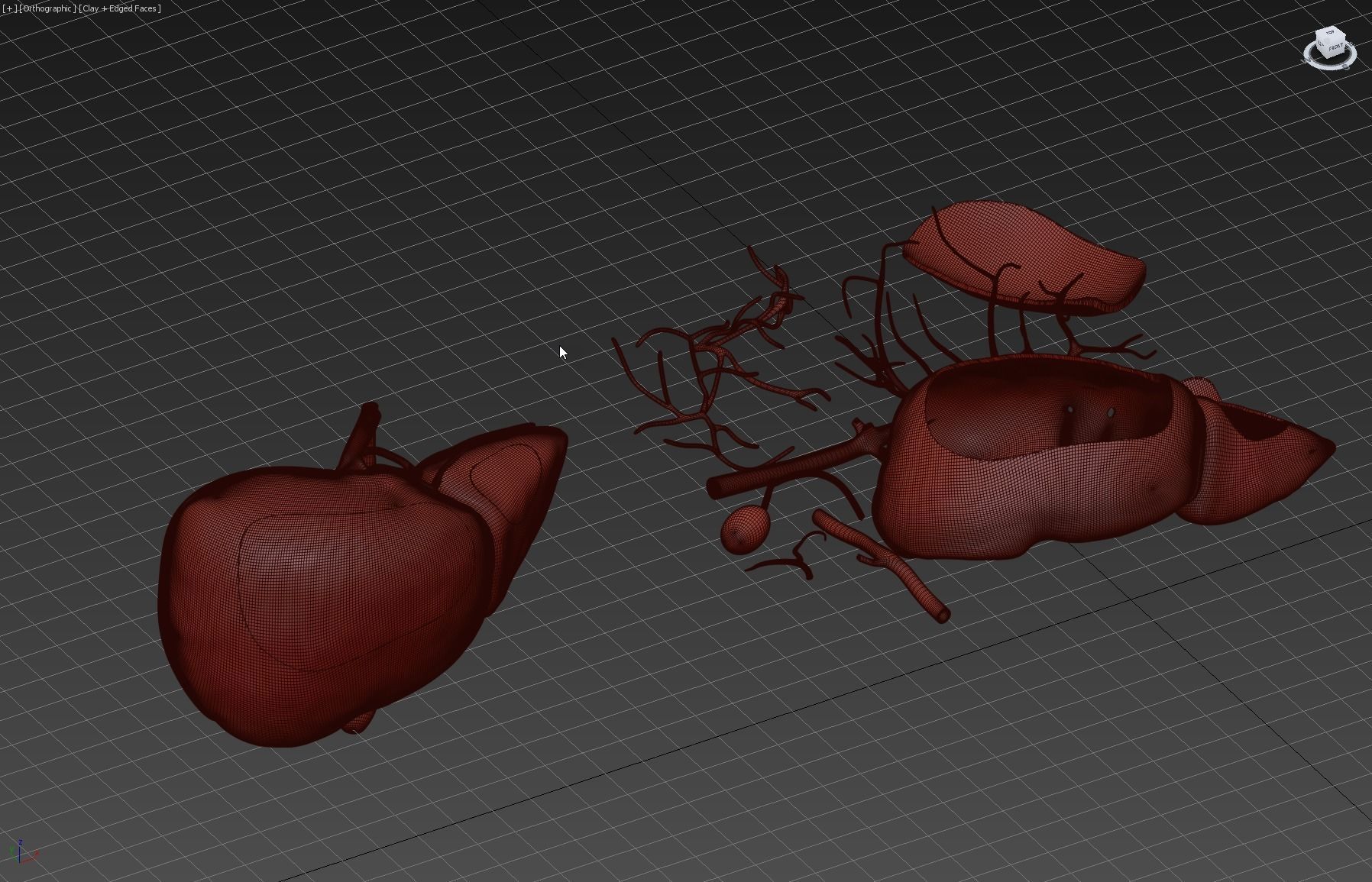 Printable Human Liver Anatomy 3 in1 3D model 3D printable | CGTrader