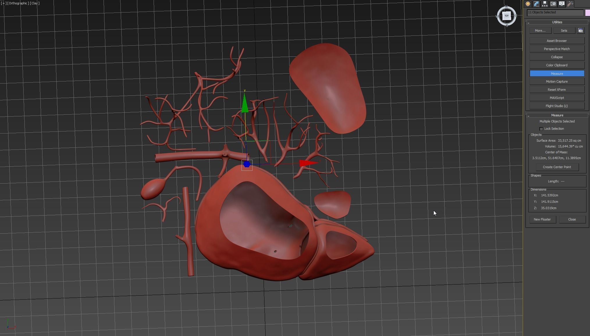 Printable Human Liver Anatomy 3 in1 3D model 3D printable | CGTrader