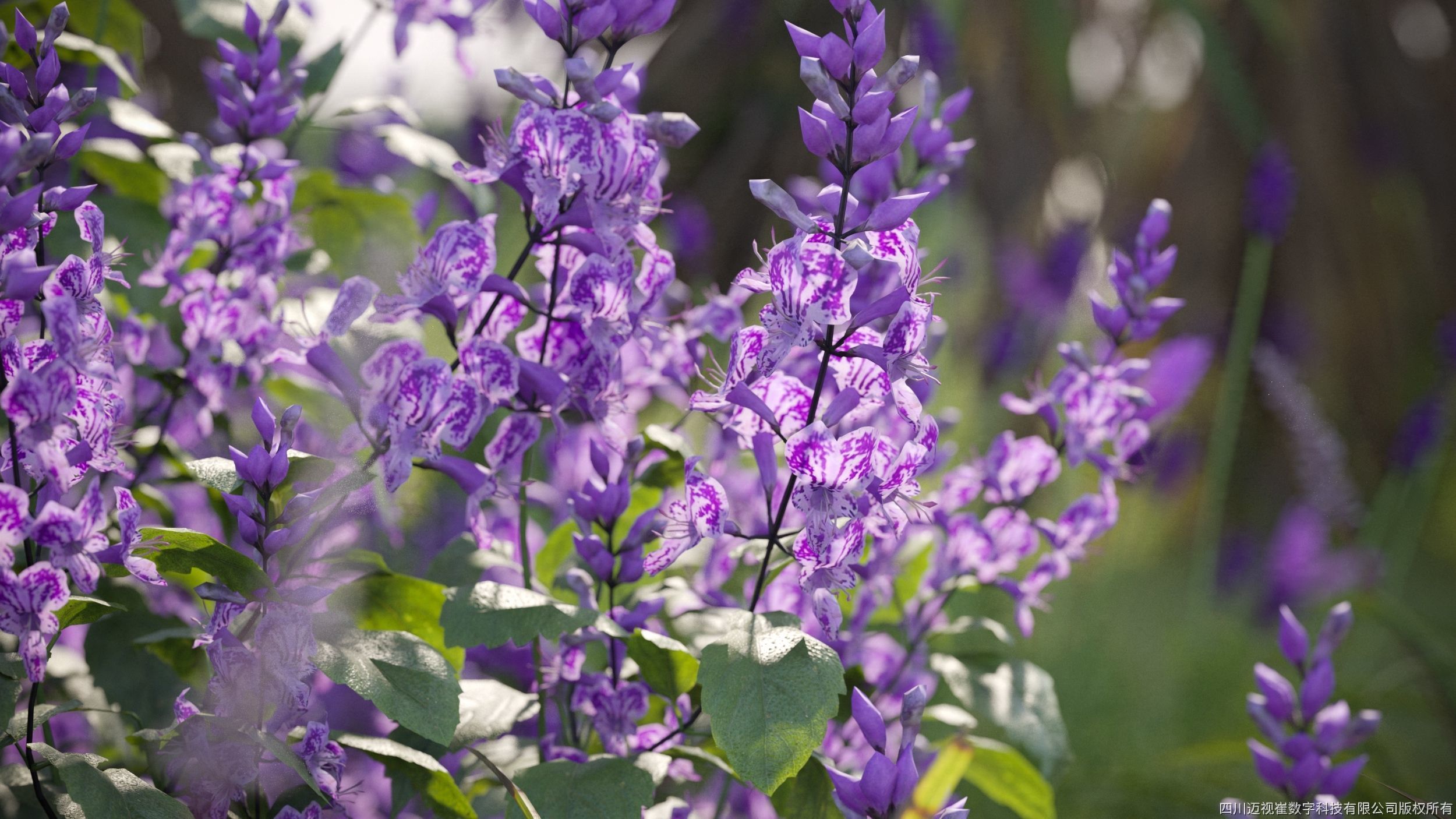 Maxtree Plant Models Vol 135 - Mesh 3D model | CGTrader