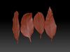 Leaf 3D leaf sculpture map 3D printed leaves 3D model 3D printable ...