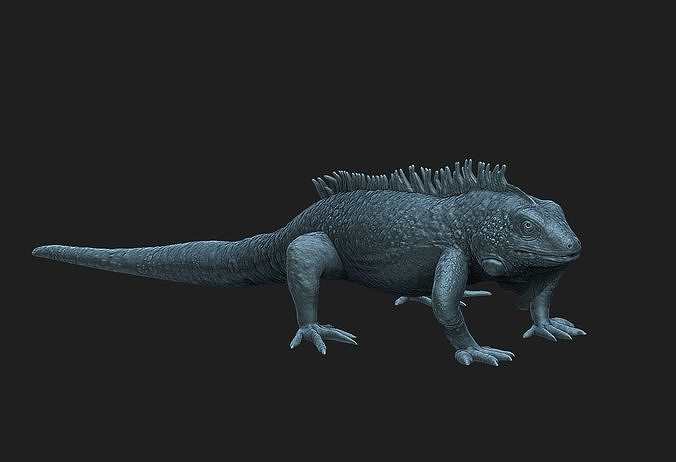 iguana 3D model 3D printable | CGTrader