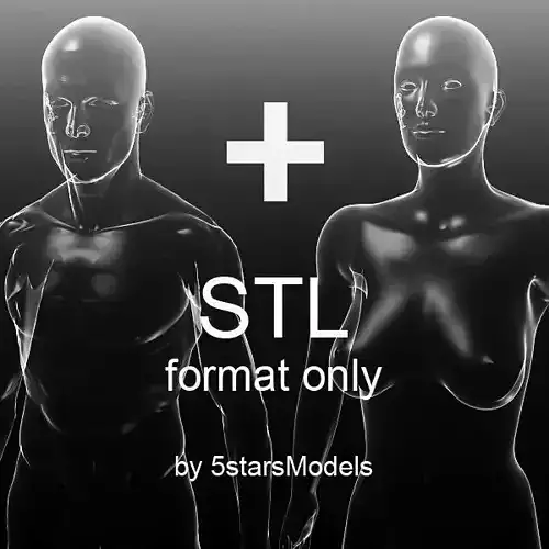 male female body anatomy stl 3D model | CGTrader