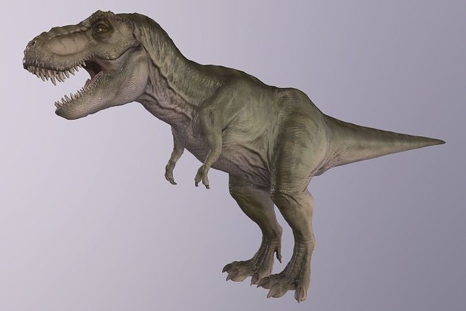 3D model Tyrannosaurus Rex VR / AR / low-poly | CGTrader