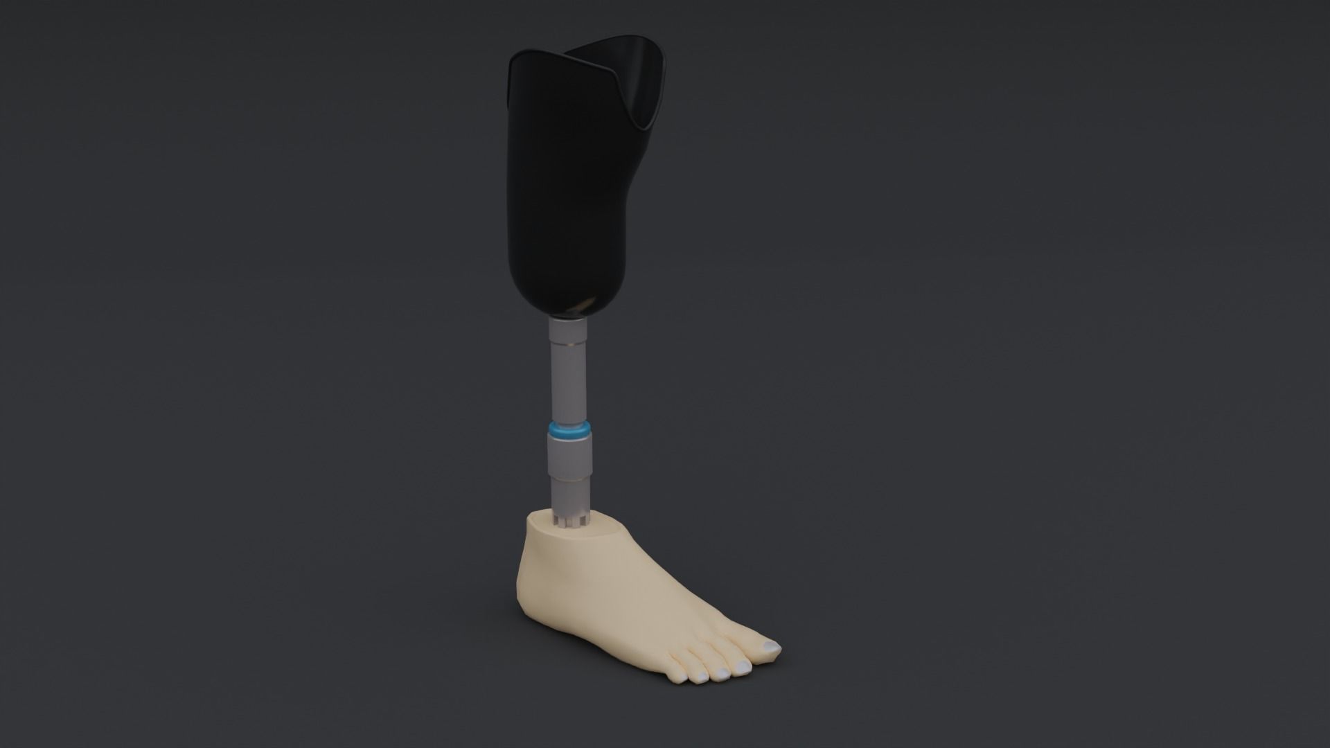 3D model Transtibial Prosthetic Leg VR / AR / low-poly | CGTrader