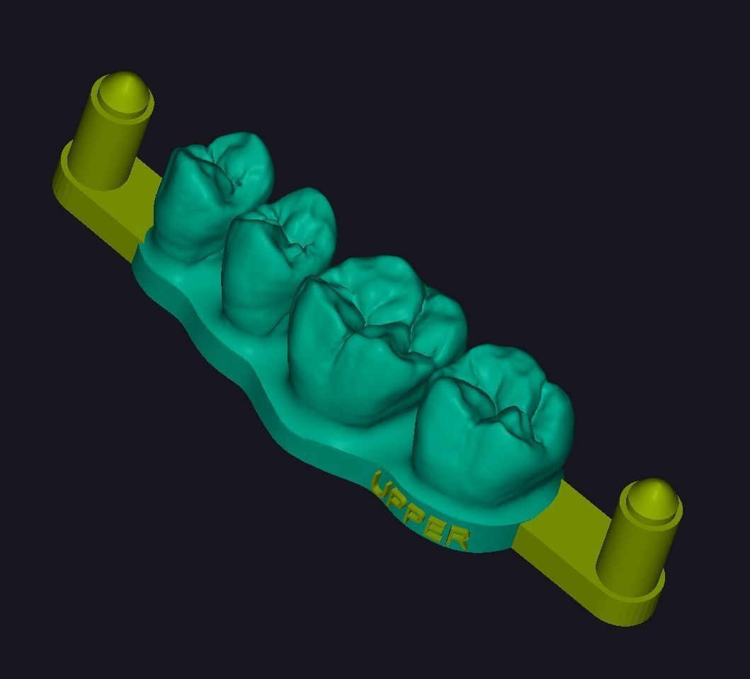 Dental training model Dental Sample model 3D print model 3D model 3D ...