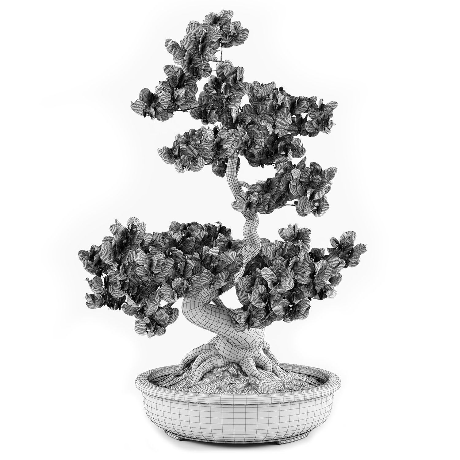 Bonsai tree 02 3D model | CGTrader
