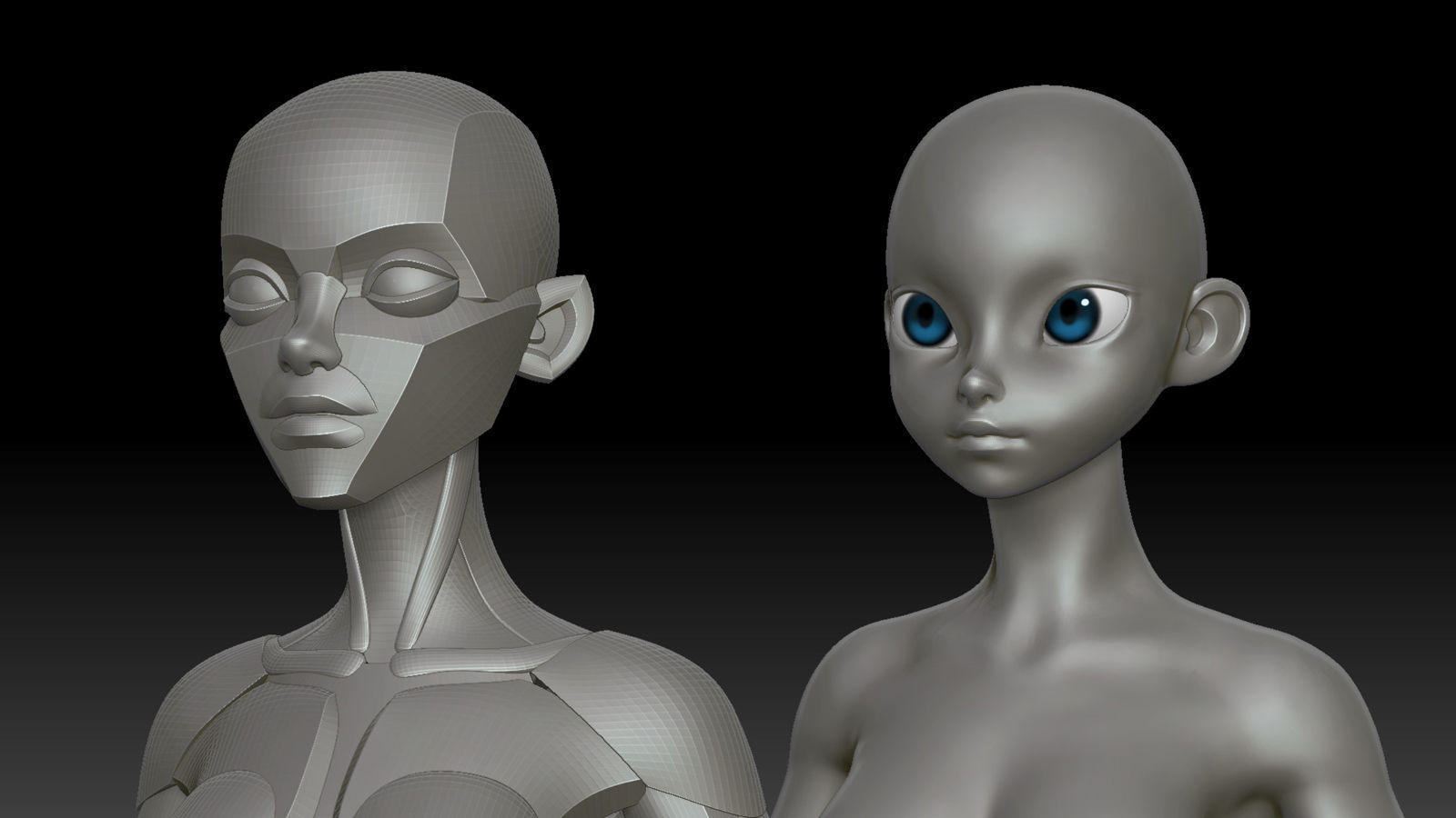 3D model Stylized Female Anatomy VR / AR / low-poly | CGTrader