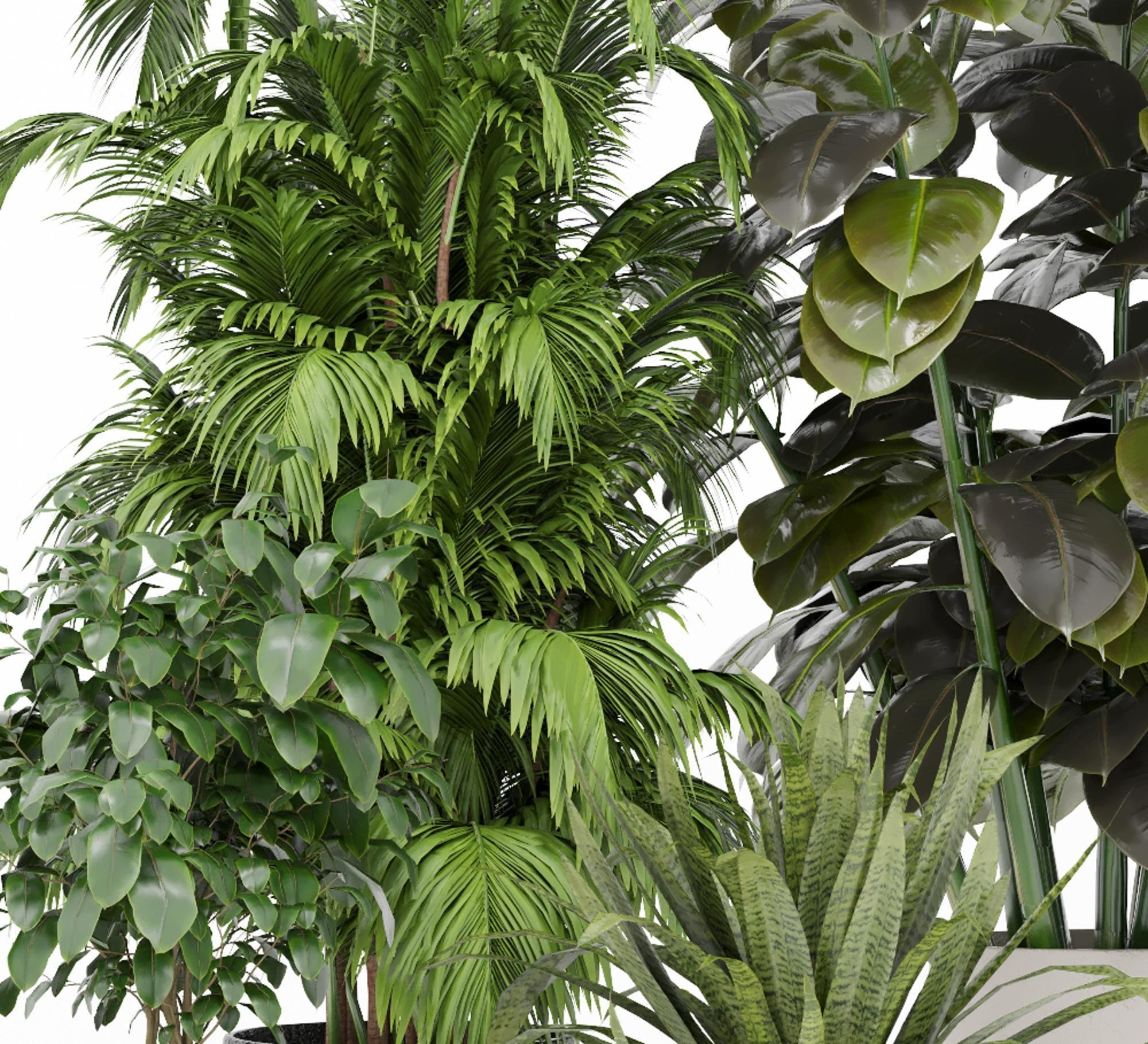 green combination plant Modern potted 3D model | CGTrader