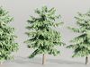 Pine trees collection vol 107-Blender 3D model | CGTrader