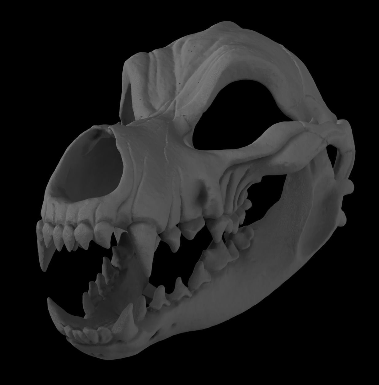 Articulated Wolf Skull Mask 3D model 3D printable | CGTrader